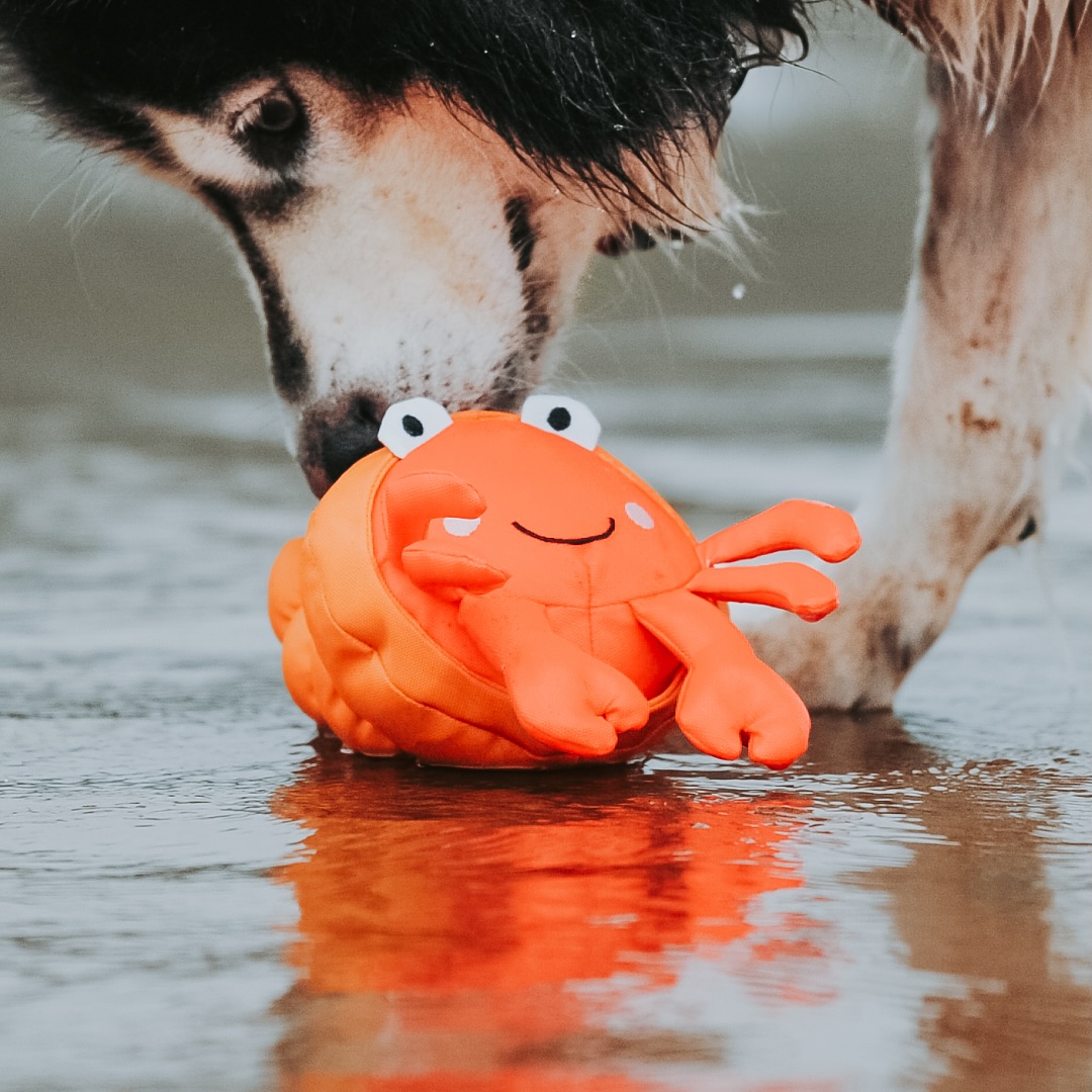 V-PET